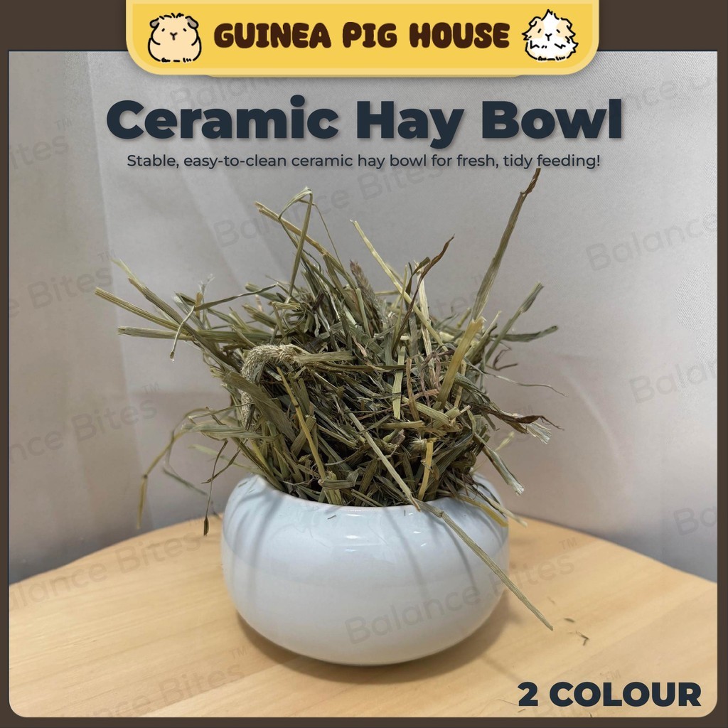 Hay Ceramic Bowl Balance Bites large capacity anti-pick ceramic guinea ...