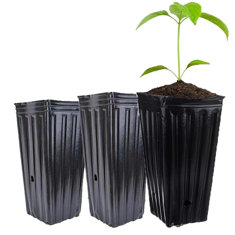 Seedling Box Tall Deep Tree Pot, Plant Flower Starting Pot Suitable For ...