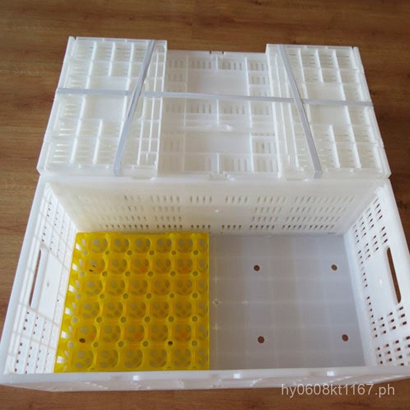 Goose egg Plastic Turnover Basket Manufacturer's Shipping Box ...