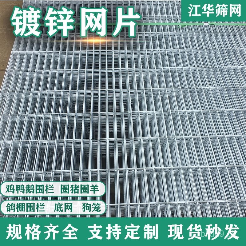 Galvanized Breeding Fence Mesh Long Hole Steel Wire Mesh Pigeon House ...