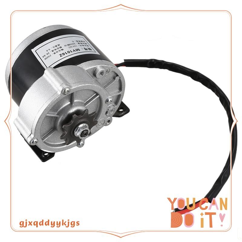 MY1016Z2 250W 12V DC Gear Brushed Motor E-Bike Motor Brush Motor ...