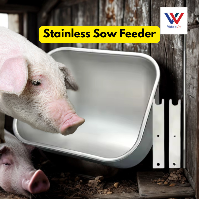 Feeder Customized Pig Feeding Trough Farrowing Stall Automatic ...