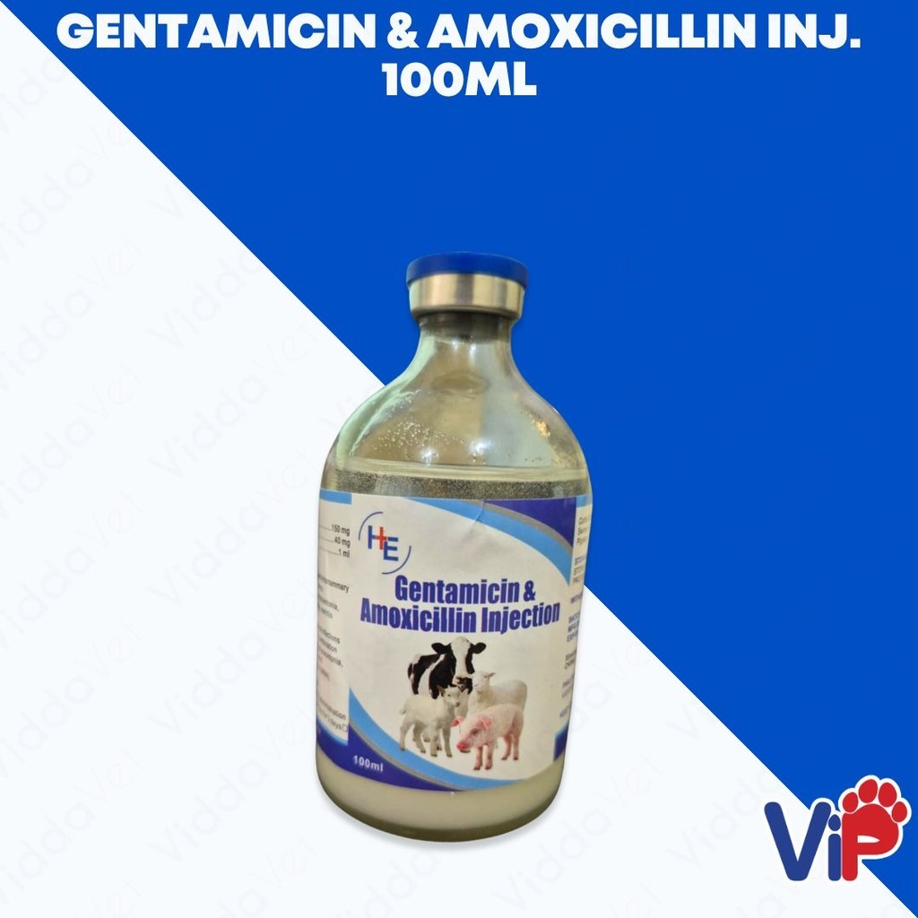 Gentamycin + Amox for Farm Animals Gentamox for Animals | Shopee ...