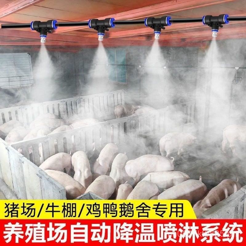 Timing Spray Atomization System Automatic Pig Farm Hot Selling ...