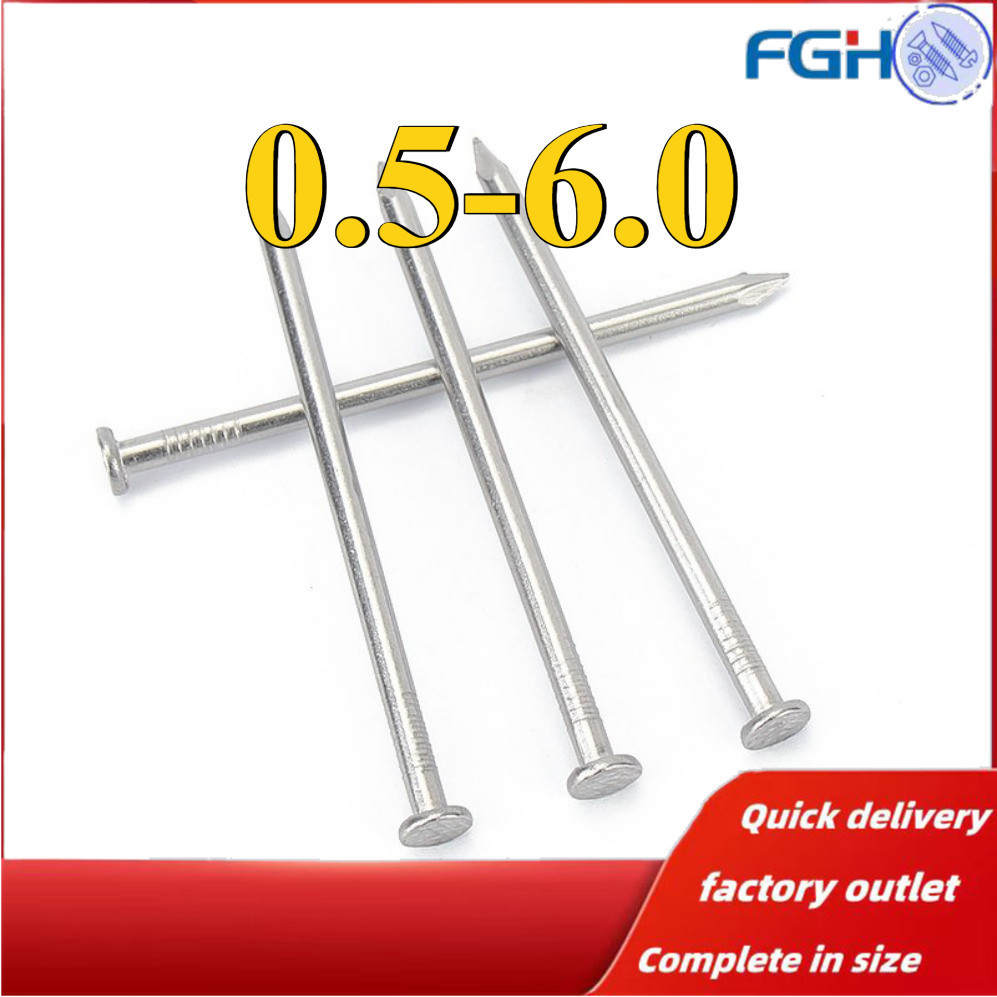 Nails Stainless 304 Round Head Nails Rust-Proof for Roofing ...