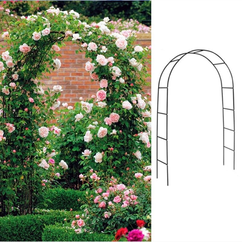 Rose Climbing Support Pole, Iron Clematis Green Plant Arch, Outdoor ...