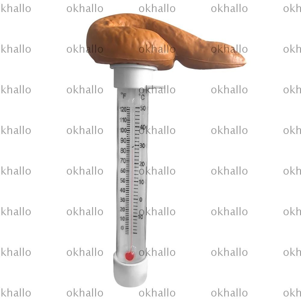 OKHALLO Water Thermometer, Hot Tub Poop-Shaped Floating Poop Pools ...