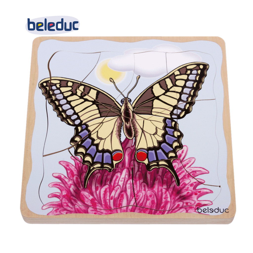 Beleduc Life Cyle Layer Puzzle (Butterfly) (4Y+) | Shopee Philippines