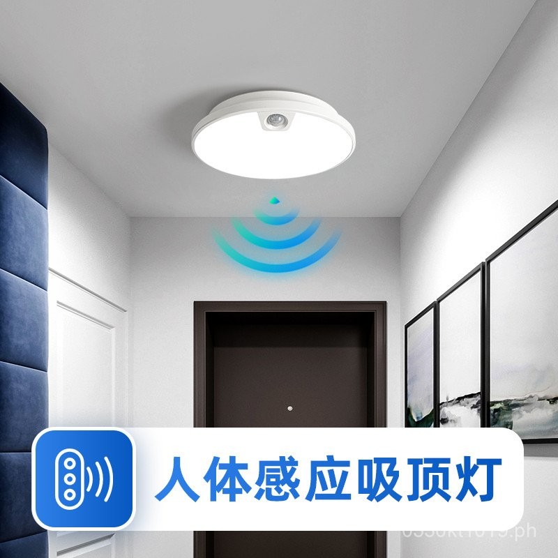 Staircase Ceiling Light Entry Door Radar Sensor Corridor Human Body ...
