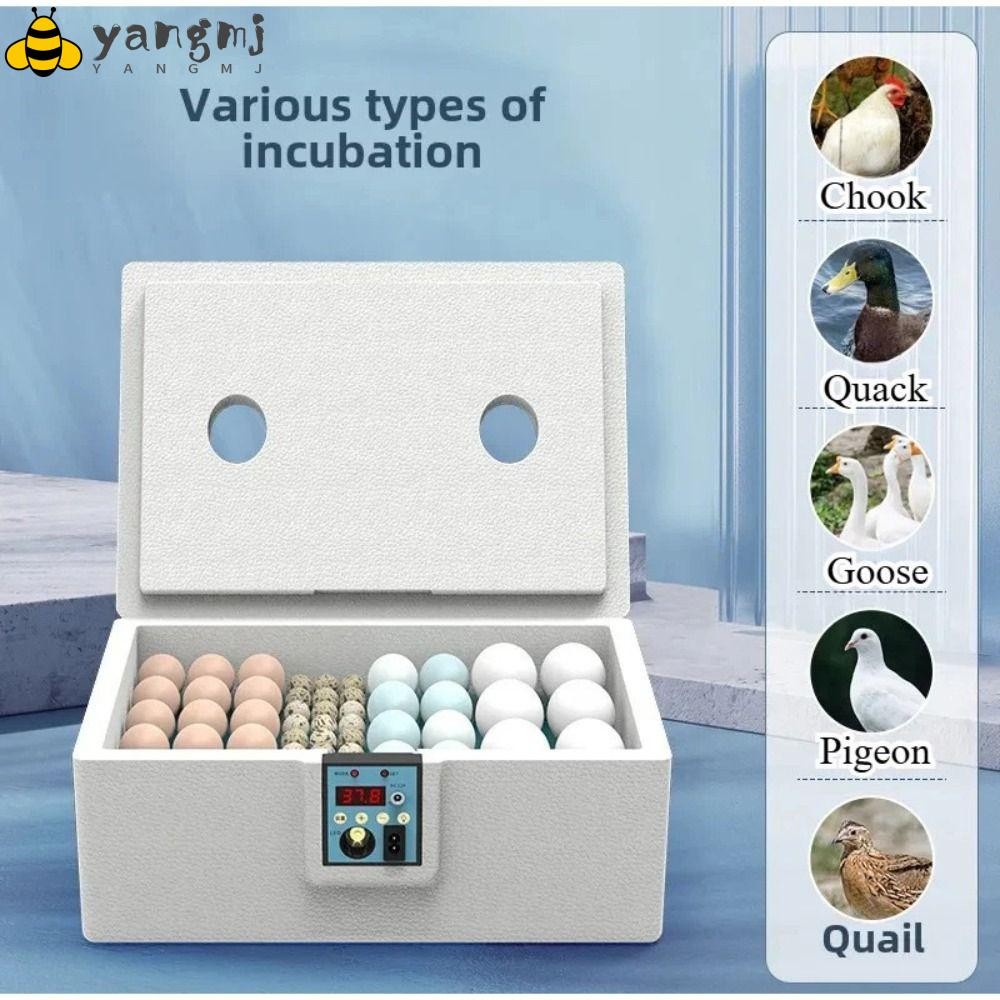 YANGMJ Small Poultry Egg Incubator, 24-hour Thermostatic Full Automatic ...