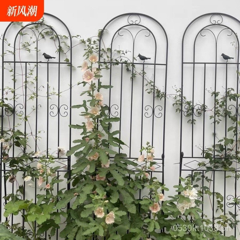 Courtyard Climbing Rose Flower Stand Bougainvillea Iron Art Outdoor ...