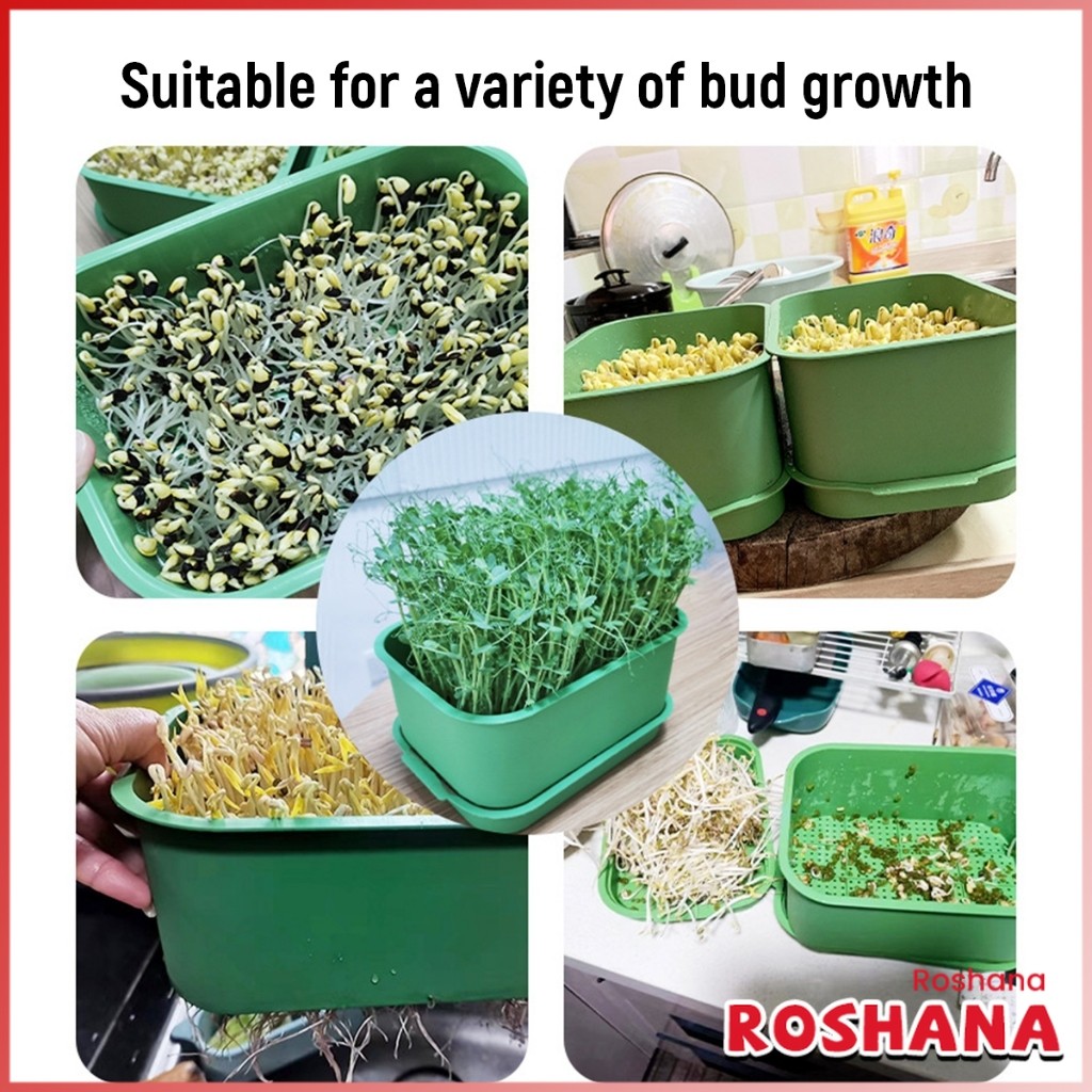 Roshana Seed Sprouting Tray Seed Sprouter Kits Microgreens Growing Kits ...