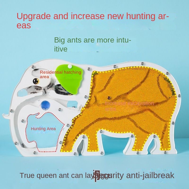 Spot goods reptile box ant nest ant house pet gate Elephant Observation ...