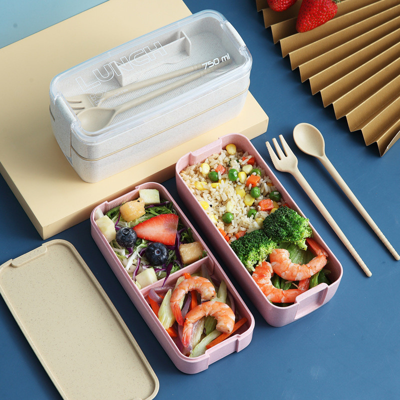 Portable 2/3Layer Lunch Box, 750ml/900ml Bento Box Food Container, Eco ...