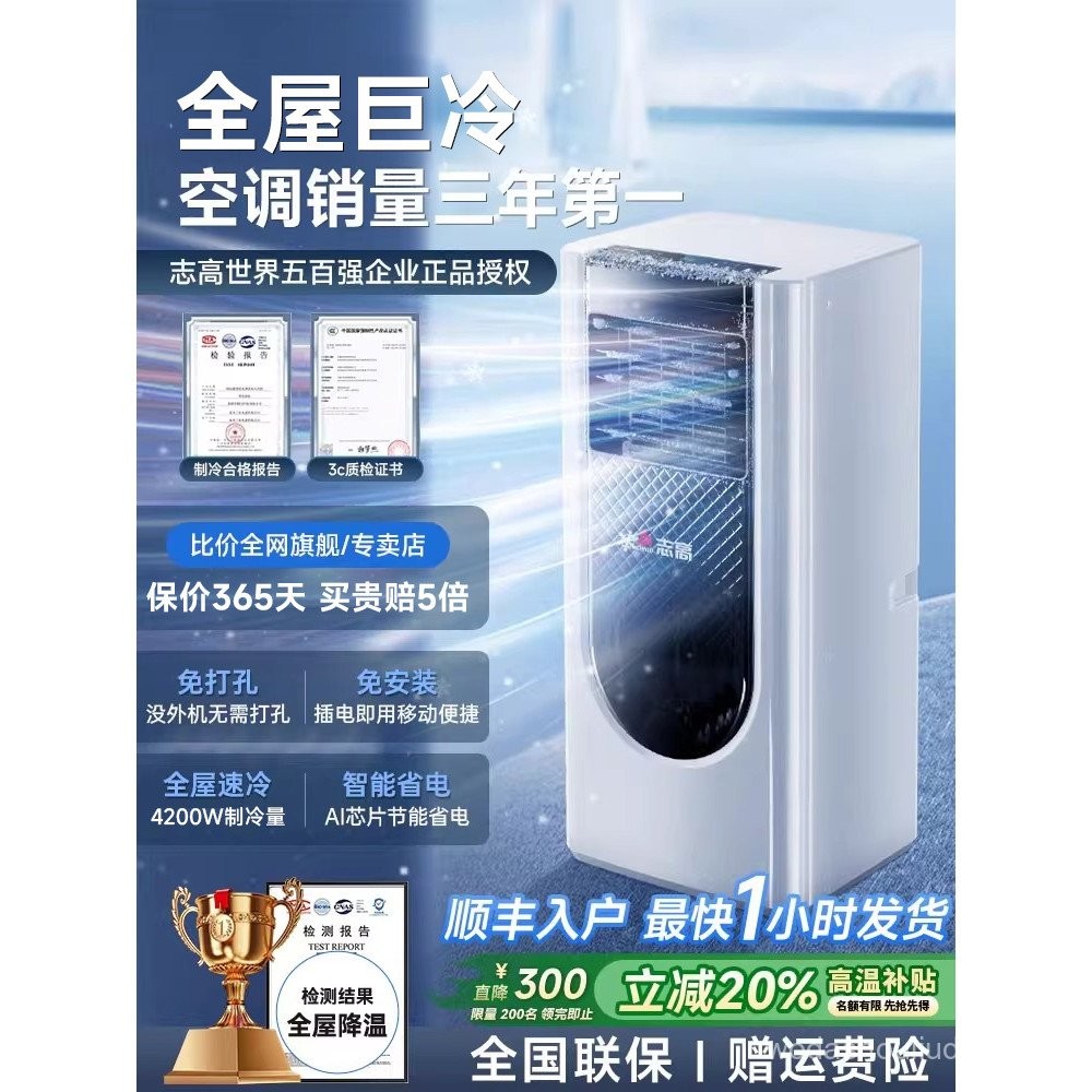 Chigo Portable Air Conditioner Single Cooling and Heating All-in-One ...