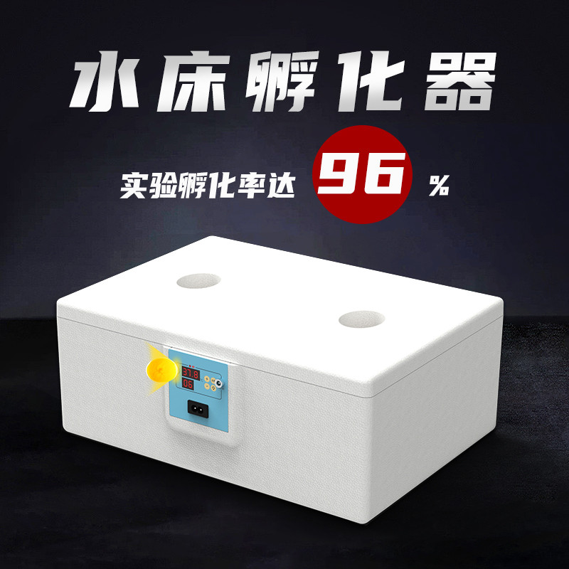 Weiqian Water Bed Incubator Small Household Mini Incubator Fully ...