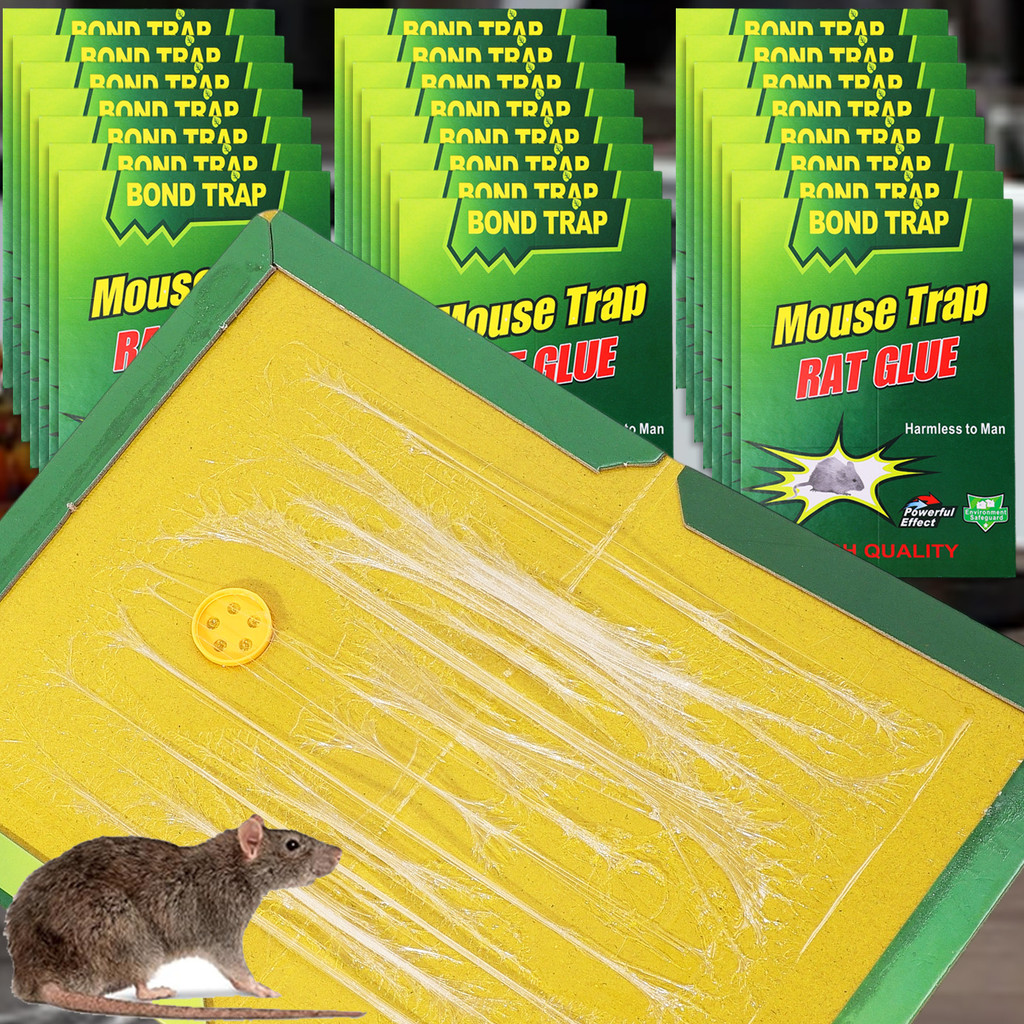 Pest Rat Insect Catcher - High Effective Mouse Glue Board - Non-toxic ...