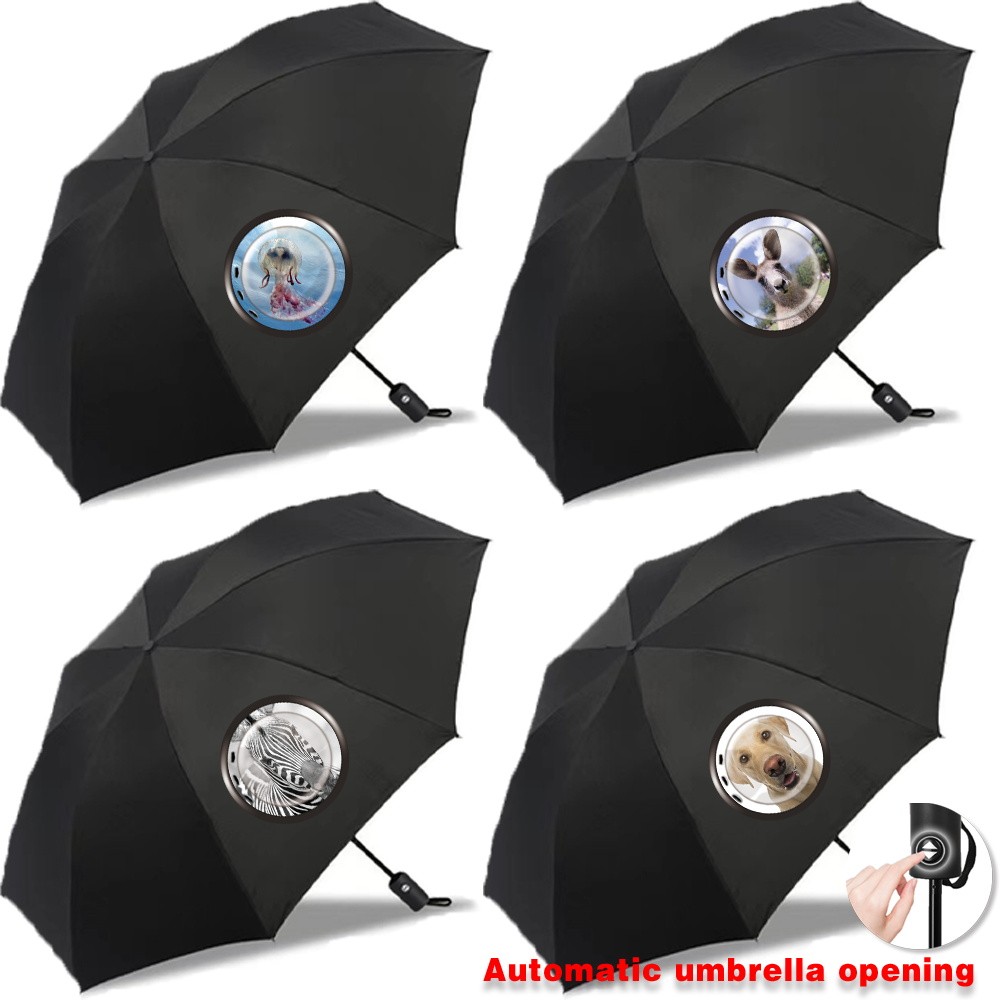 Fashion Window UV Automatic Umbrella - UPF 50+ Nylon, Automatic Windproof (Outdoor Sun ...