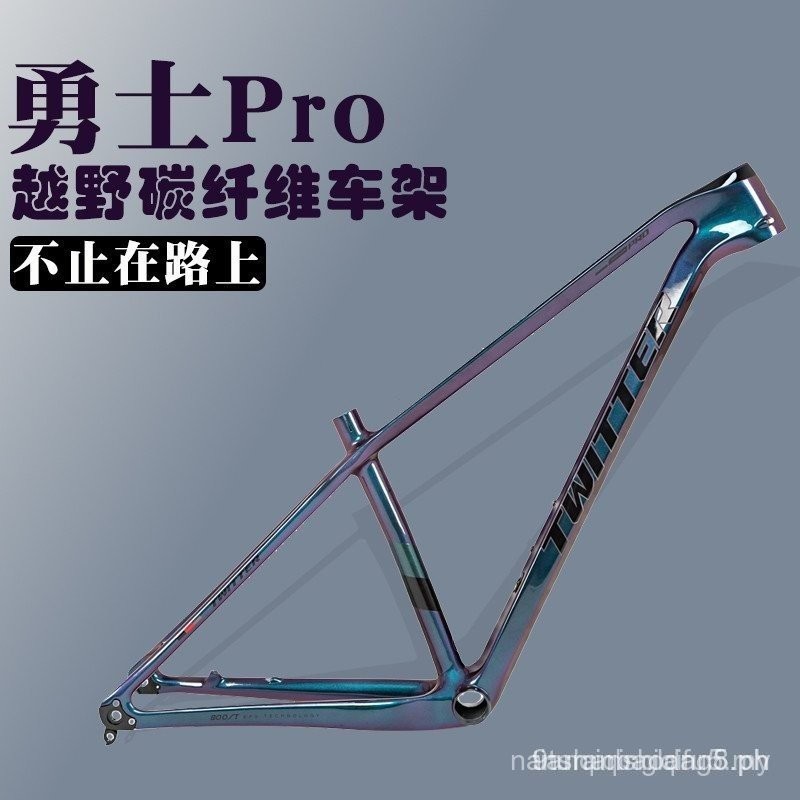 TWITTER Warriors pro Carbon Fiber Mountain Bike Frame XC Off-Road ...