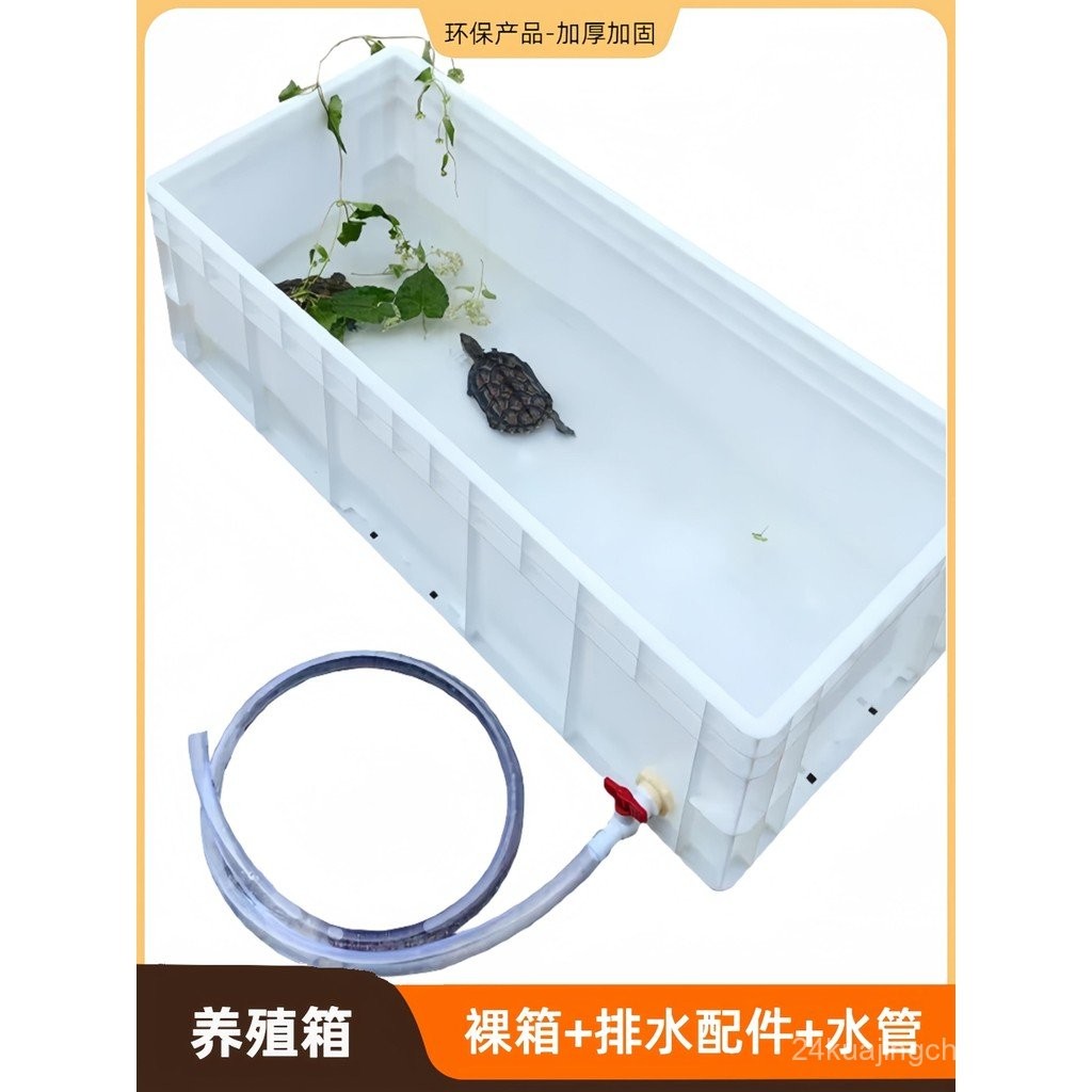 Thickened Turtle Box Fish Tank Turtle Tank Breeding Box with Drainage ...