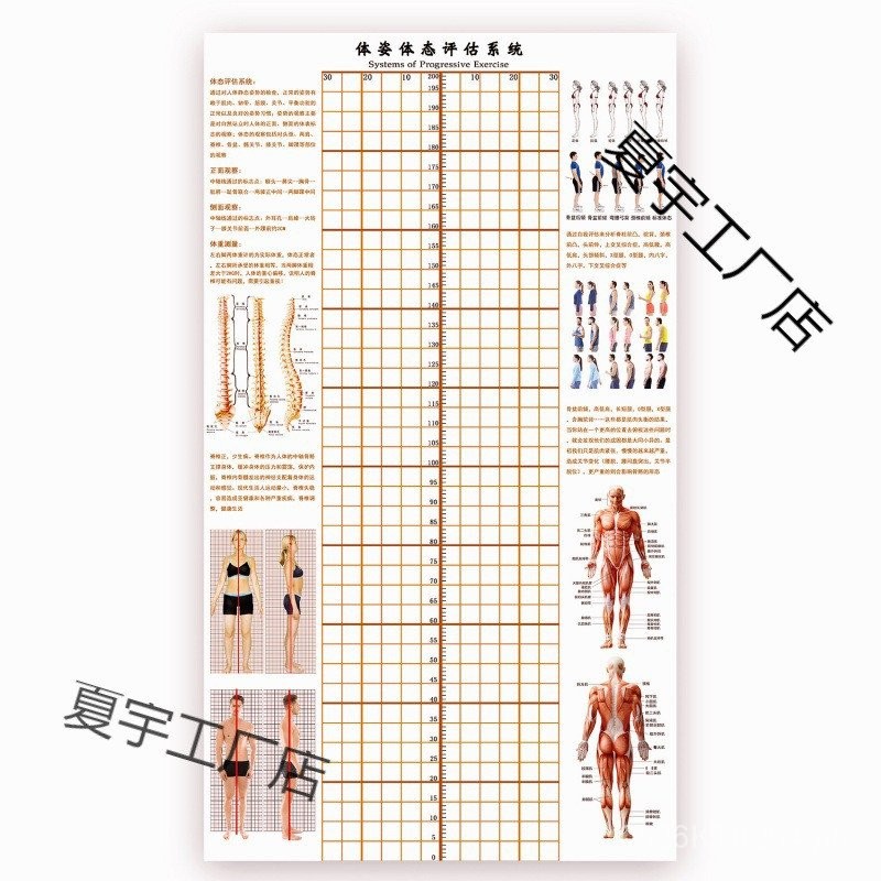 Stick-on Evaluation Chart Wallpaper Gym Yoga Studio Comparison Posture ...