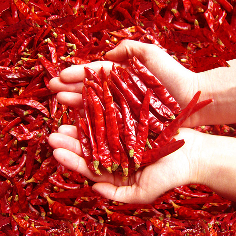 Velc Dried Chili Xiaomi Chili scsc | Shopee Philippines