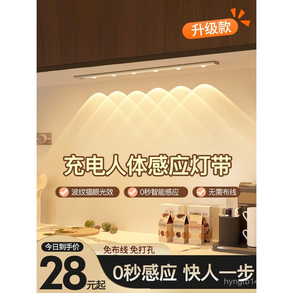 Qicheng Human Body Sensor Light Strip for Kitchen Cabinet, Wine Cabinet ...