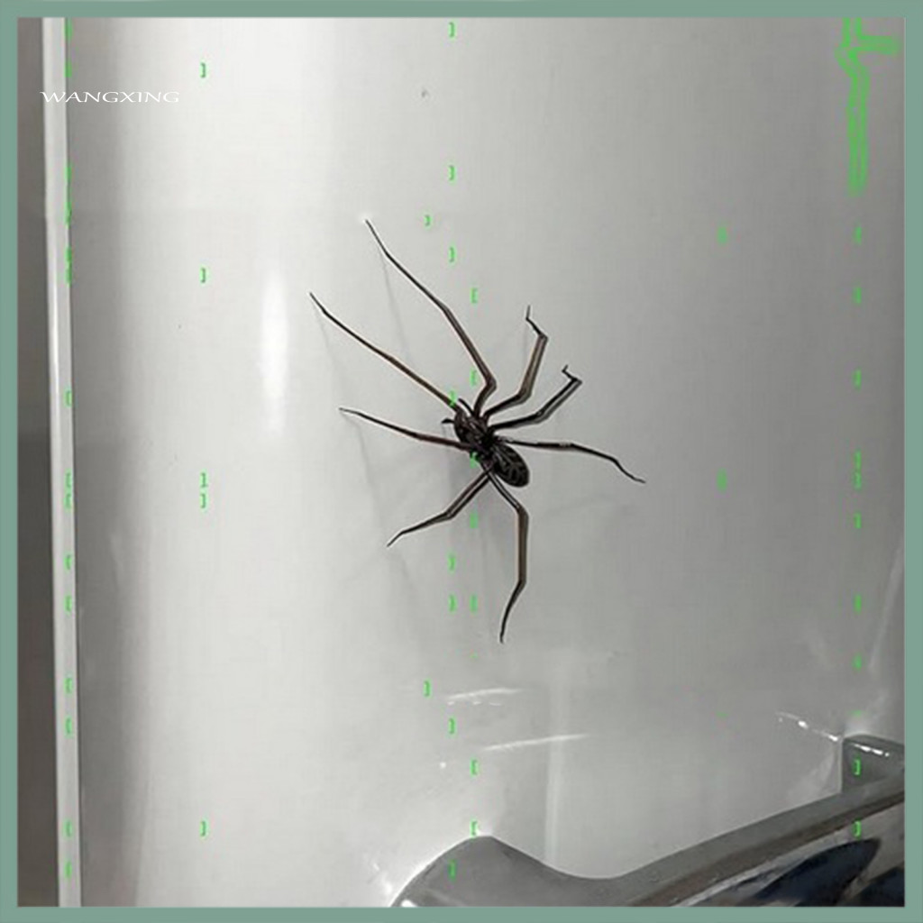 WA_ Flexible Legs Spider Prop Halloween Spider Magnet Realistic Giant ...