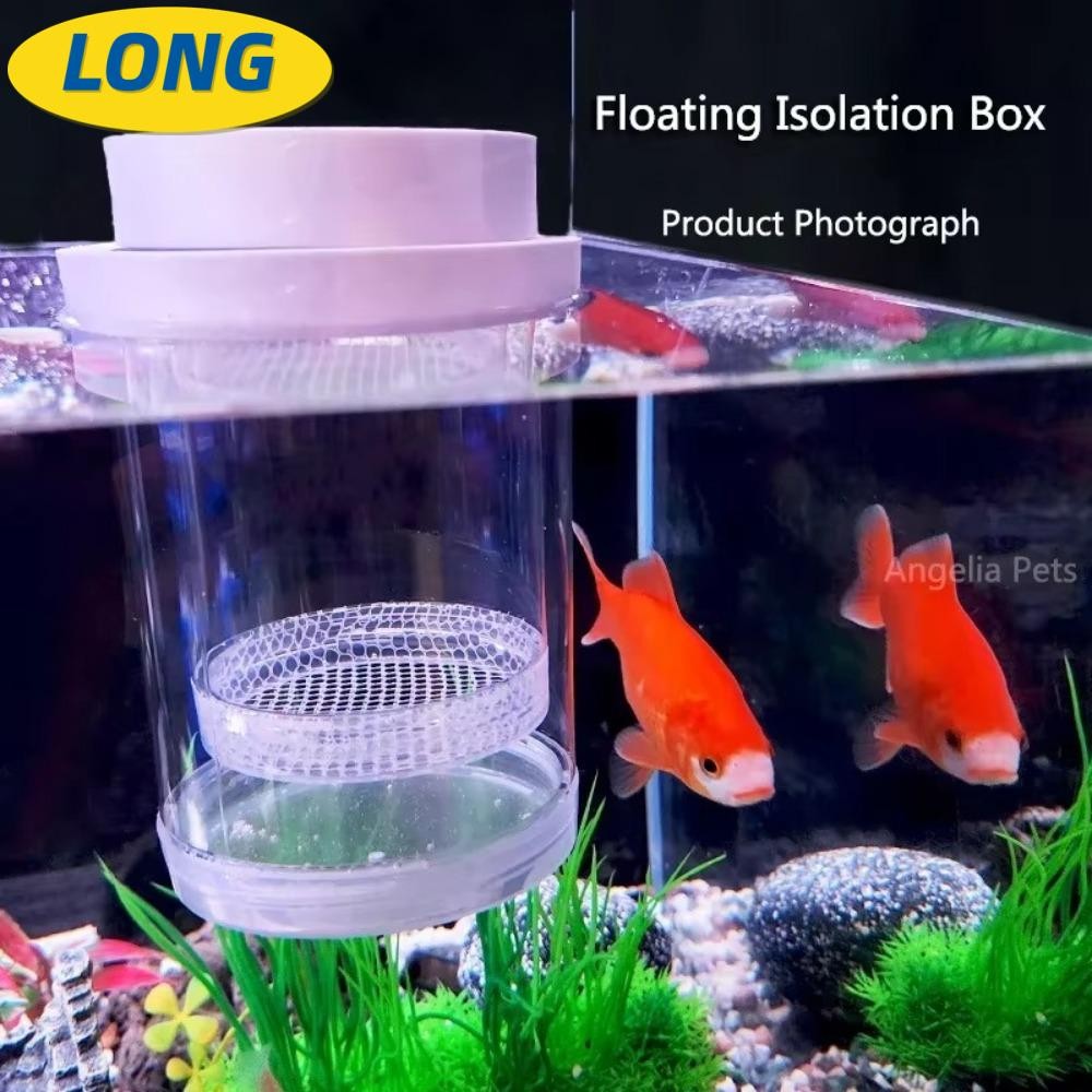 LONNGZHUAN Floating Fish Breeding Isolation Box, Plastic Mesh Shrimp ...