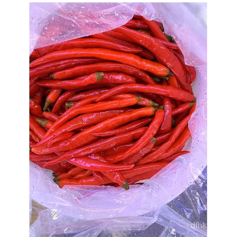Authentic Sichuan Pickled Pepper Erjingtiao Beauty Pepper Farmhouse Pickled Red Pepper Pickled ...