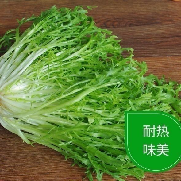 Four Seasons Bitter Chrysanthemum Vegetables Salad Vegetables Salad ...
