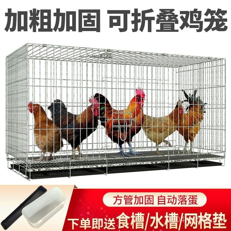 Multi-layer Chicken Coop Automatic Household Chicken Cage Breeding Cage ...