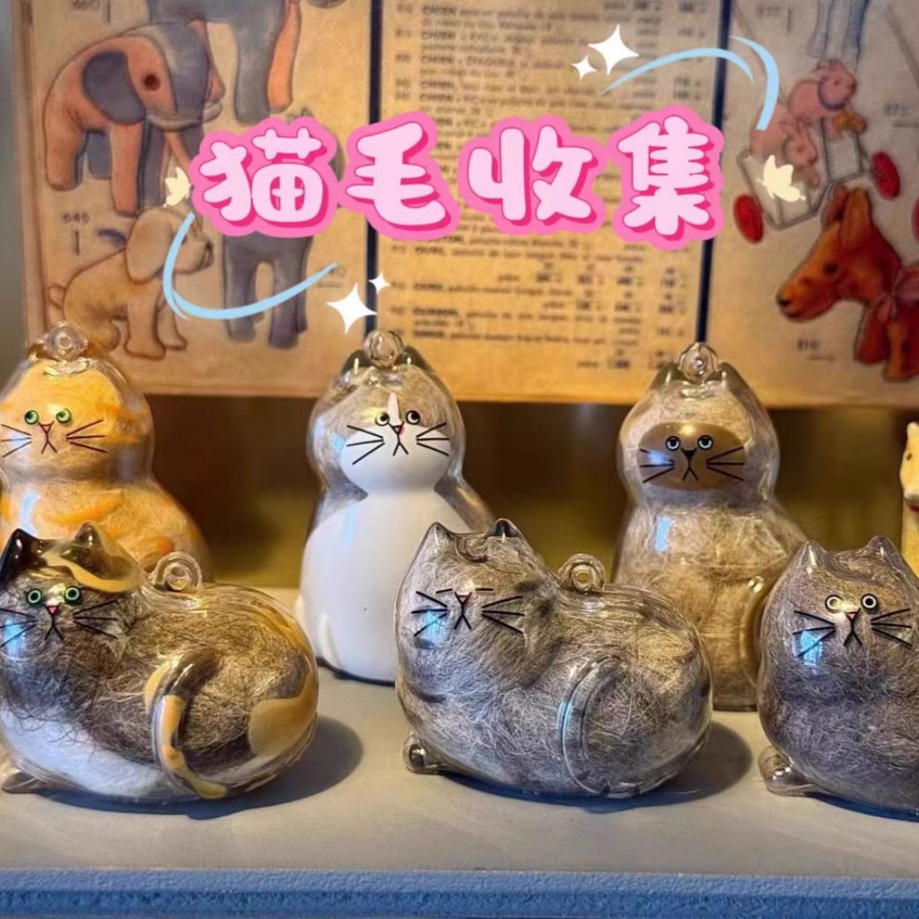 Cute Cat Hair Storage Box Transparent Cat Shape Twisted Egg Cat Fur ...