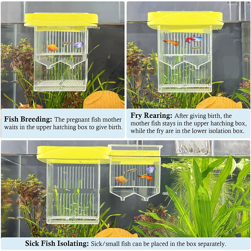 { OD&HOME } Floating Breeding Box For Aquarium, Fish Tank Breeder Box ...