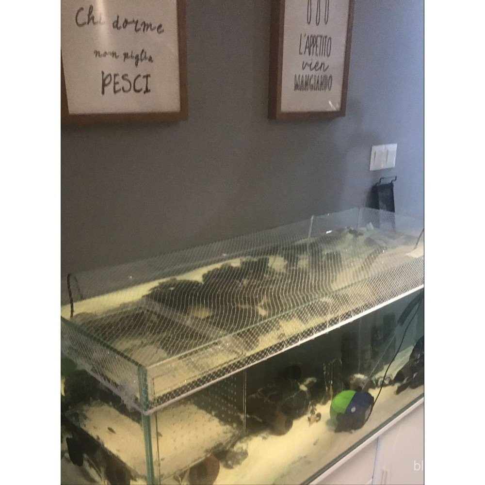 Rectangular Glass Tank Fish Tank Anti-Jump Net Cover Fish Box Fish Bowl ...