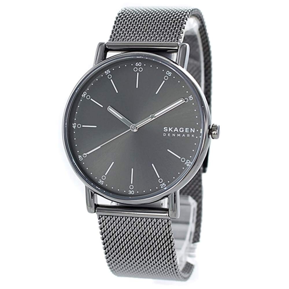 [Skagen] SKAGEN Men's Signatur Gray Mesh Stainless SKW6577 Watch ...
