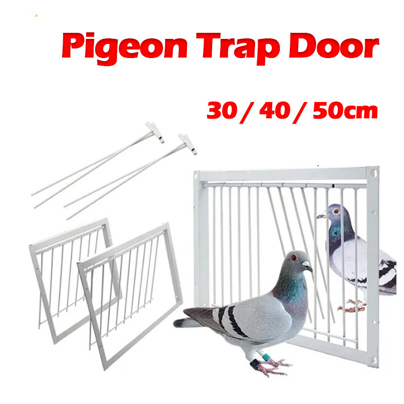 T-trap Door Pigeon Trap Door Activities Door Racing Pigeon Cage Door ...