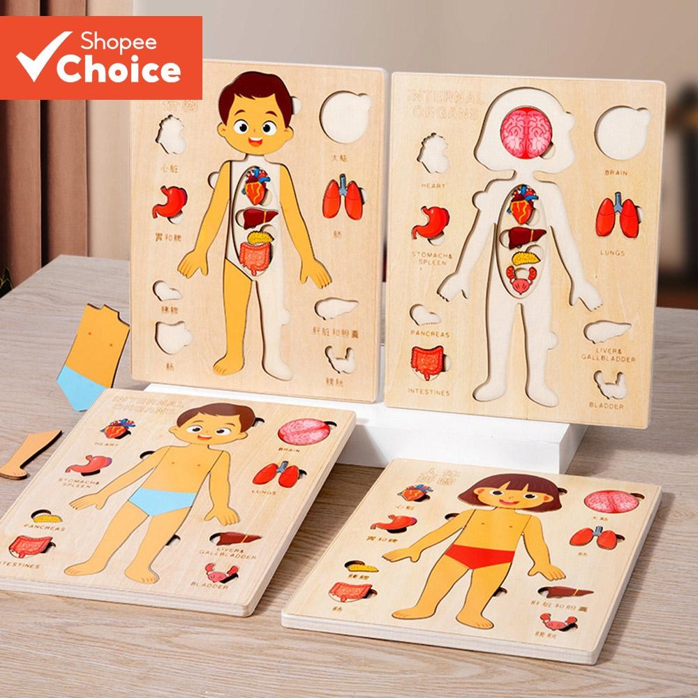 Montessori Wooden Jigsaw Puzzles Anatomy Game Human Body Puzzles ...