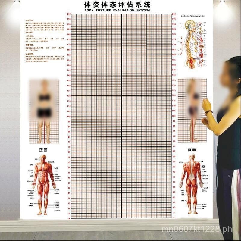Lian Gym Yoga Studio Body Measurement Posture Fat Map Personal Training ...
