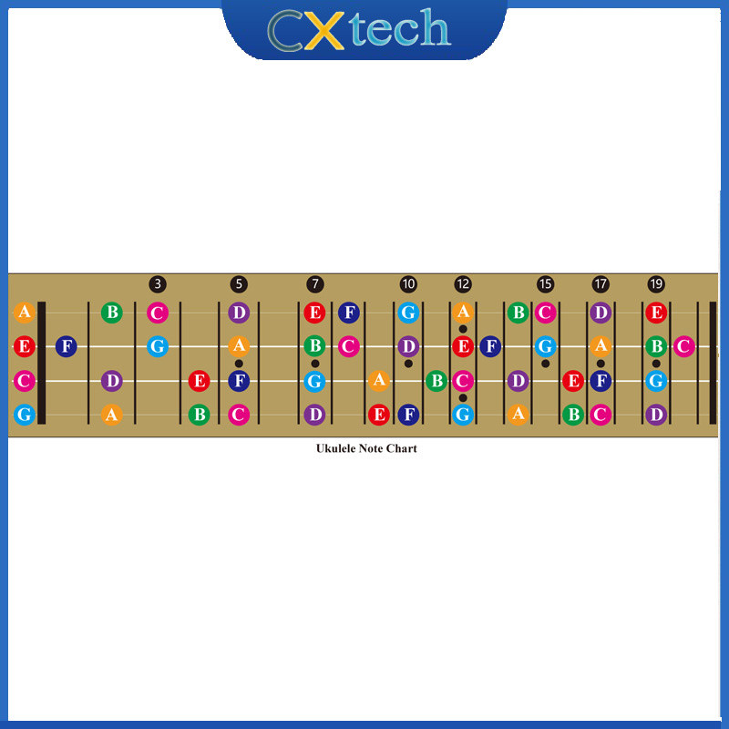 Ukulele Scale Chart Ukulele Chord Fingerstyle Scale Reference Chart ...