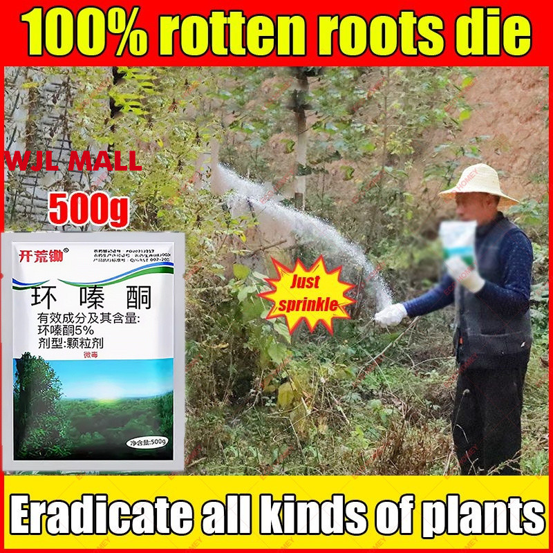 500g Root Rot Killer | Hexazinone Herbicide Eradicates Tree/Bamboo ...