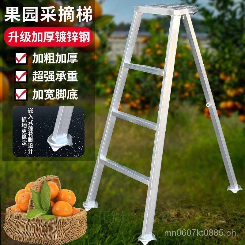 Folding Step Ladder Carbon Steel Ladder Pruning Ladder Orchard ...
