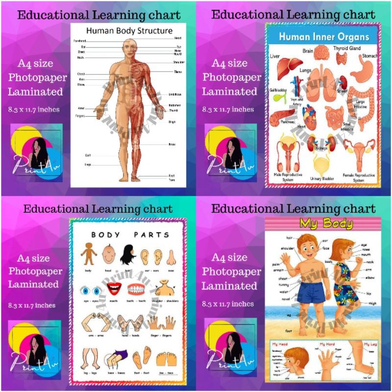 Body parts - Parts of the Body kids Educational learning chart ...