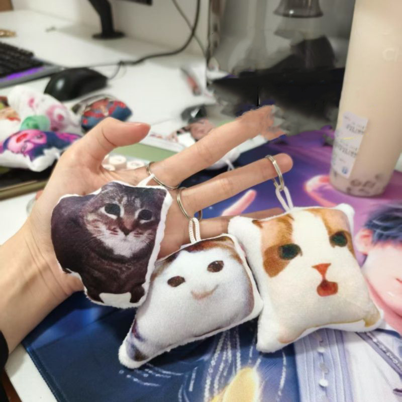 Oiia Cat Meme Oiiaioooooiai Keychain with Sound Funny Kids ...