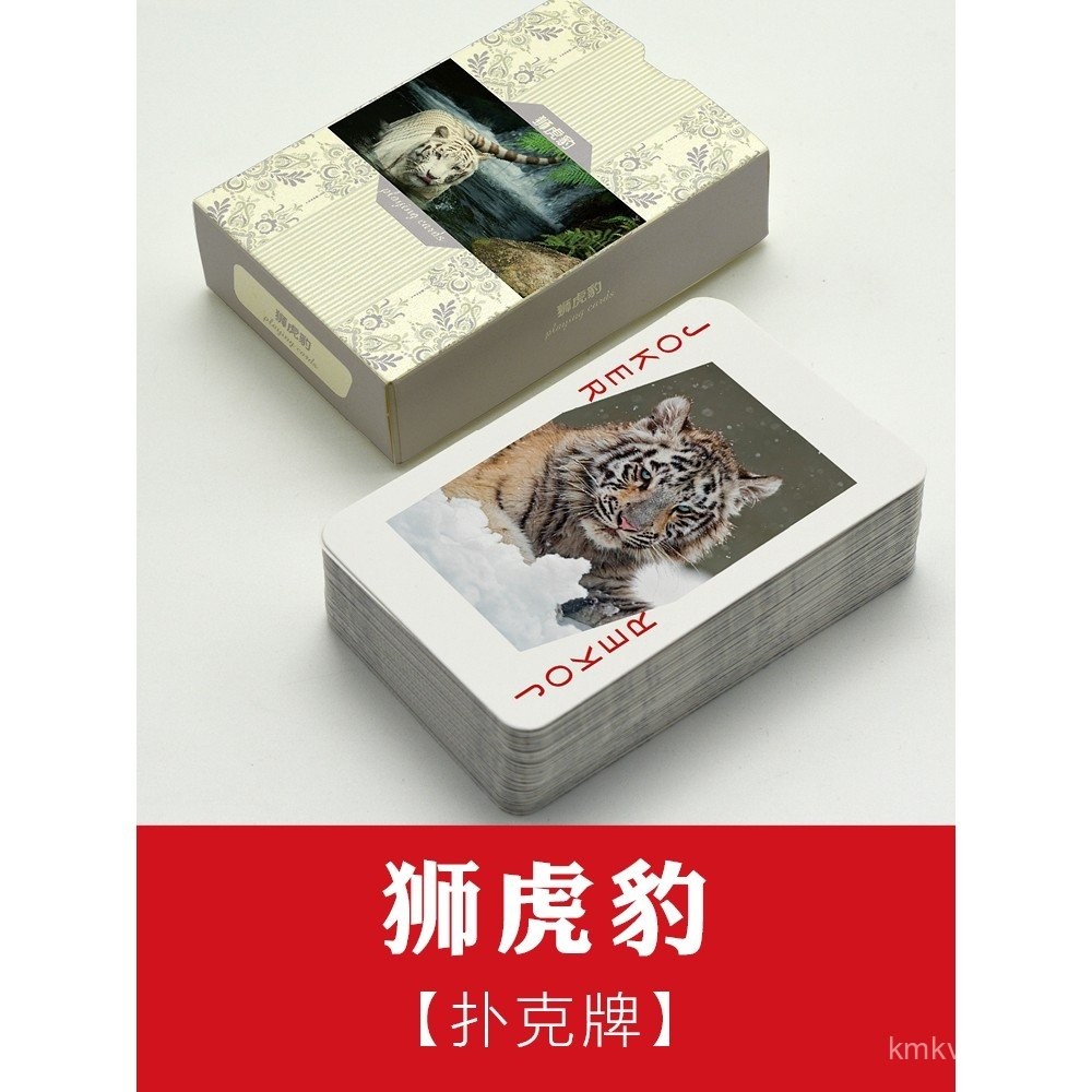 Large Feline Wildlife World American Snow Leopard Lion Cheetah Cloud ...