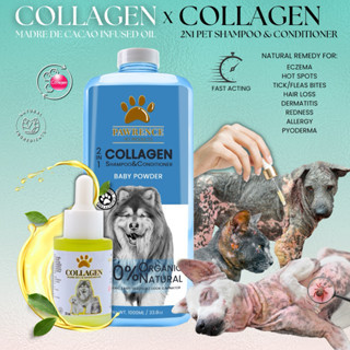 Anti-Tick Mange Shampoo + Healing Oil | Pawrence Collagen 2in1 Pet ...