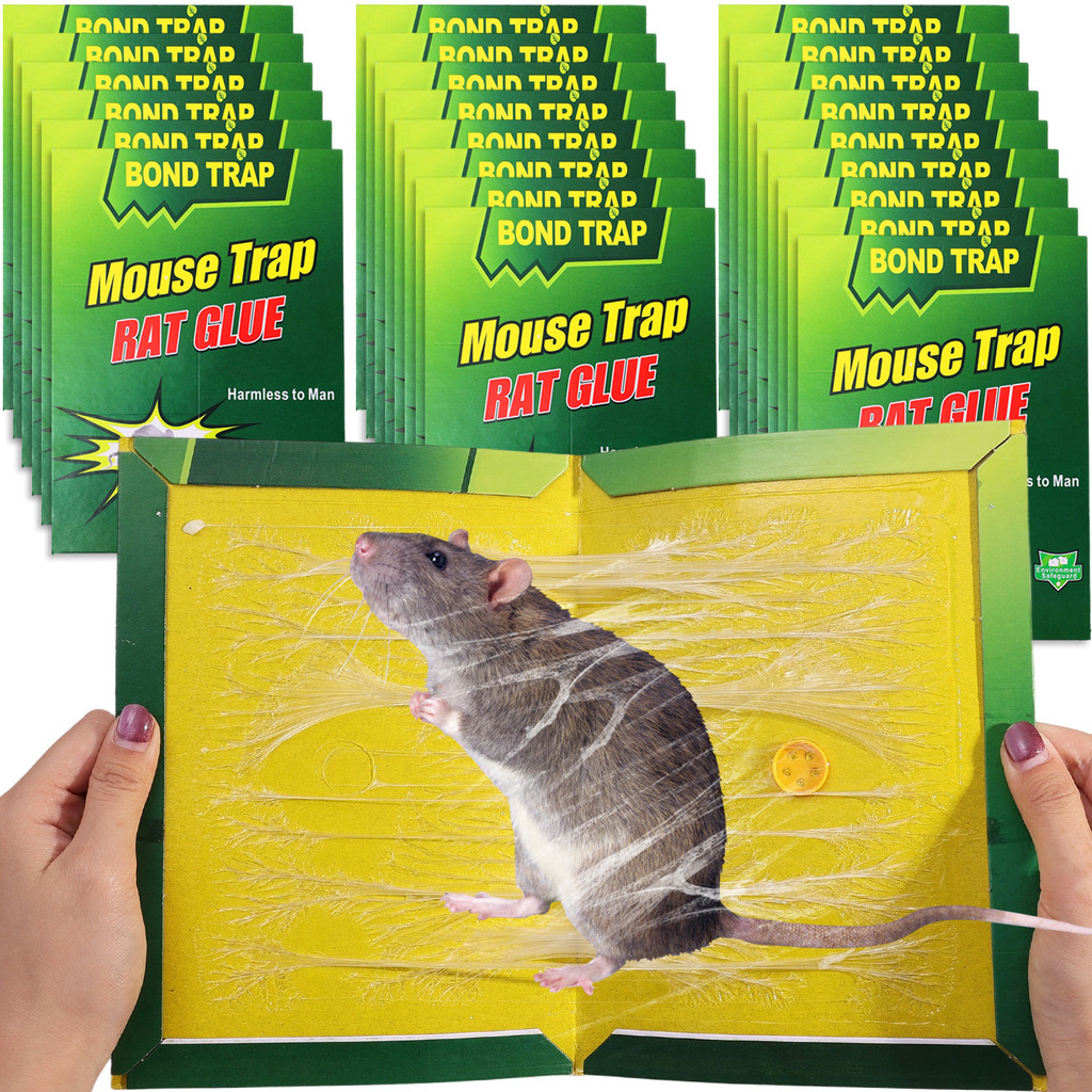 Non-toxic Mice Adhesive Killer Trap - Pest Rat Insect Catcher - High ...