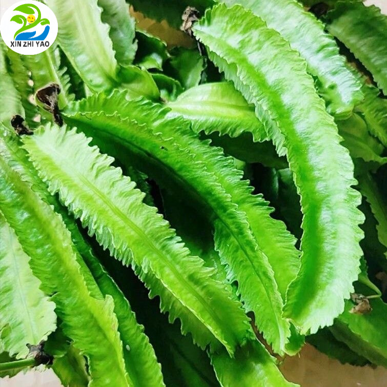 Long Winged Bean Seeds ( 5seeds/Pack ) | Shopee Philippines