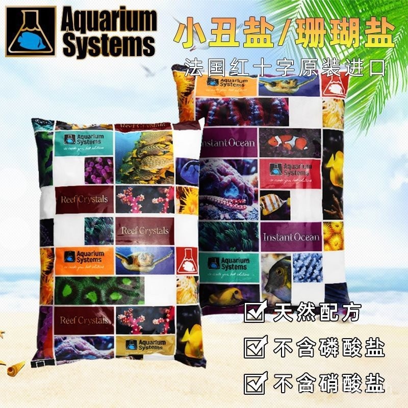 Yanyan Red Cross High Calcium/French Salt LPS Aquarium SPS Saltwater ...