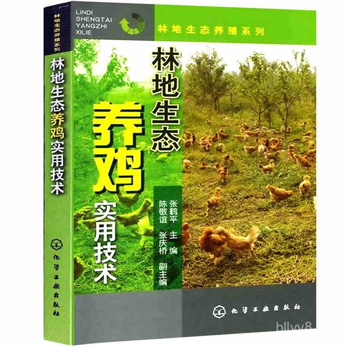 Practical Techniques for Eco-friendly Chicken Farming in Forests ...
